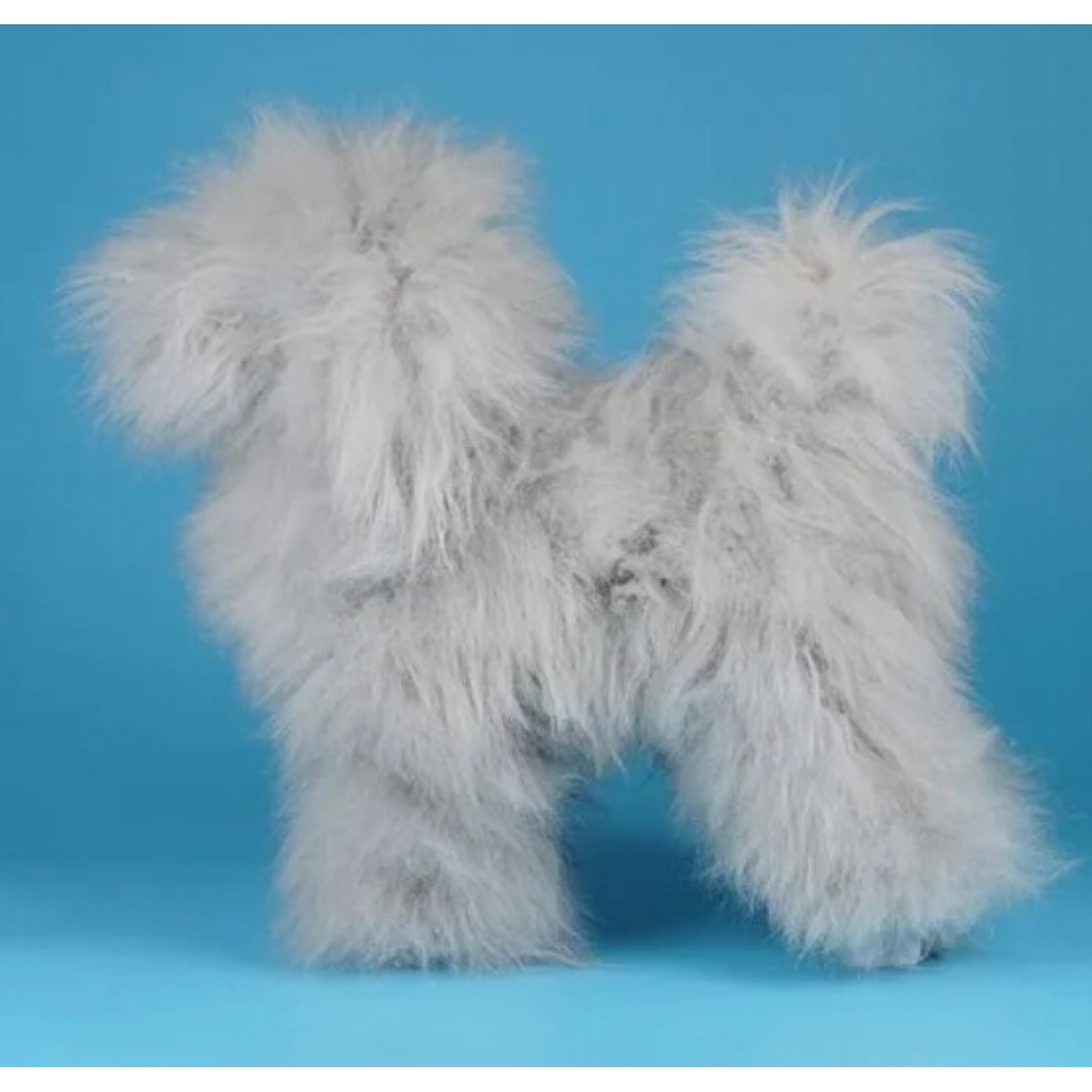 Teddy Whole Body Dog Wig - Grey